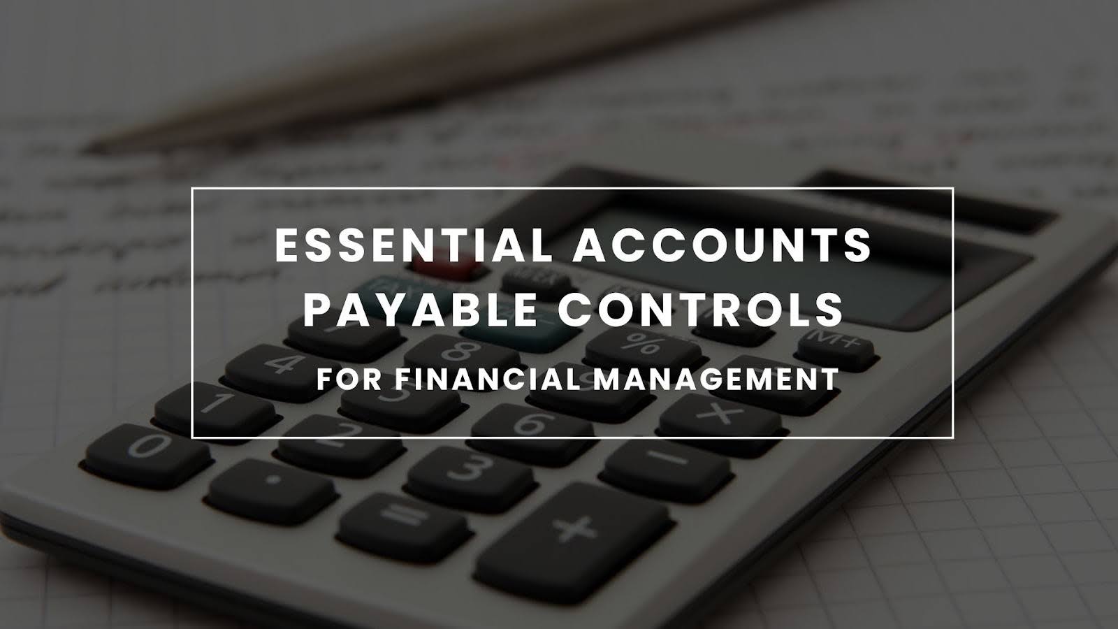 Essential Accounts Payable Controls for Financial Management